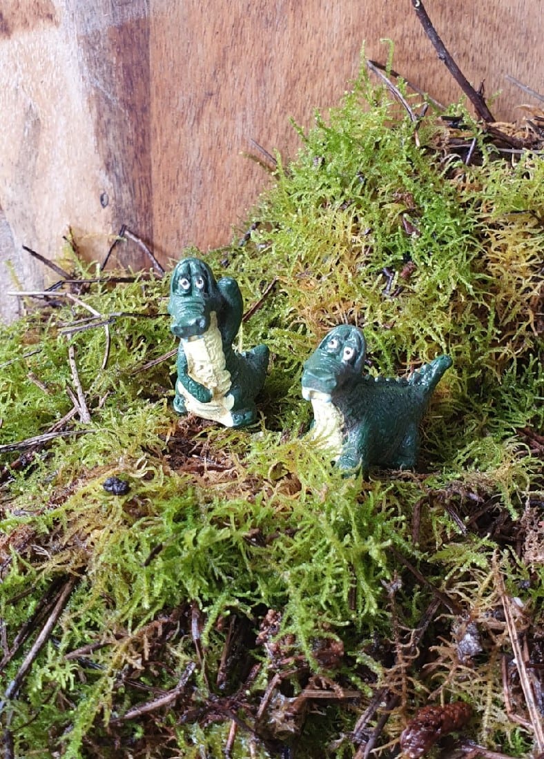 MINI CROCODILE | Garden Feast