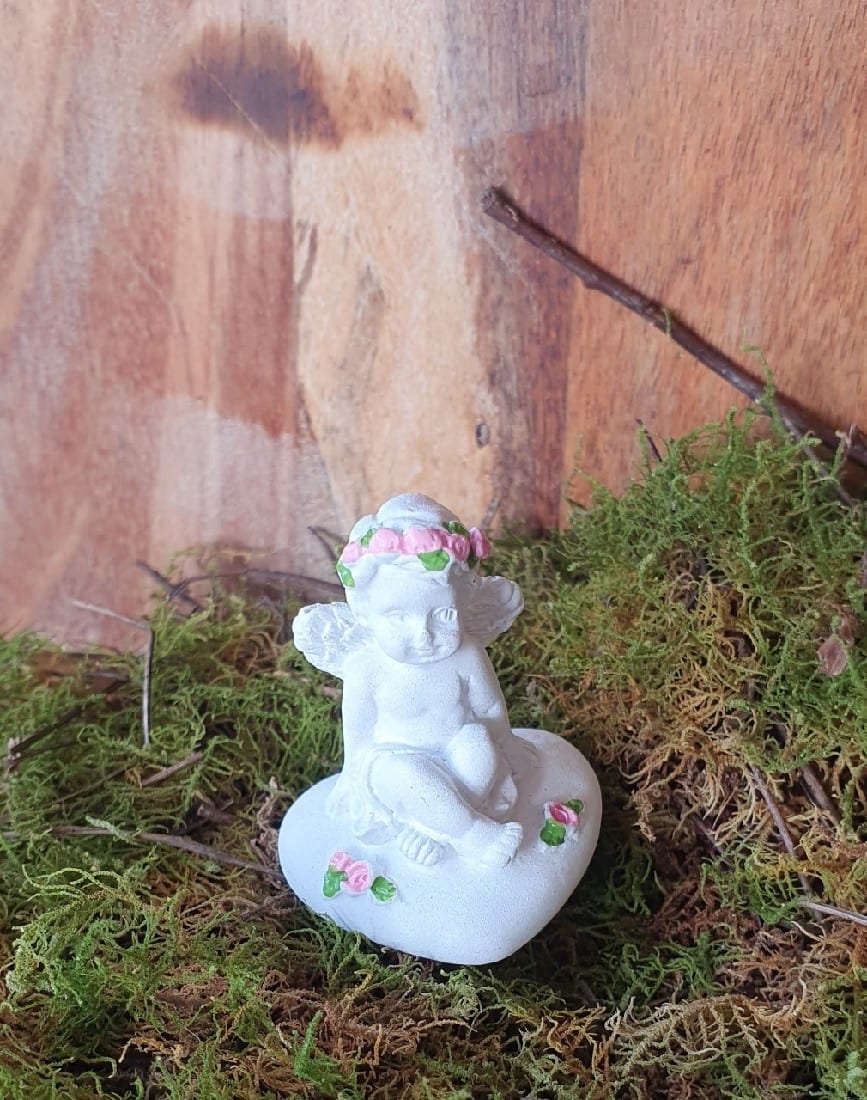 MINI CHERUB | Garden Feast