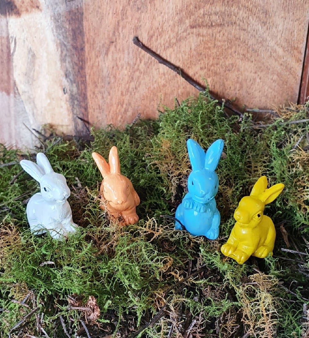MINI RABBIT ASSORTED COLOURS | Garden Feast