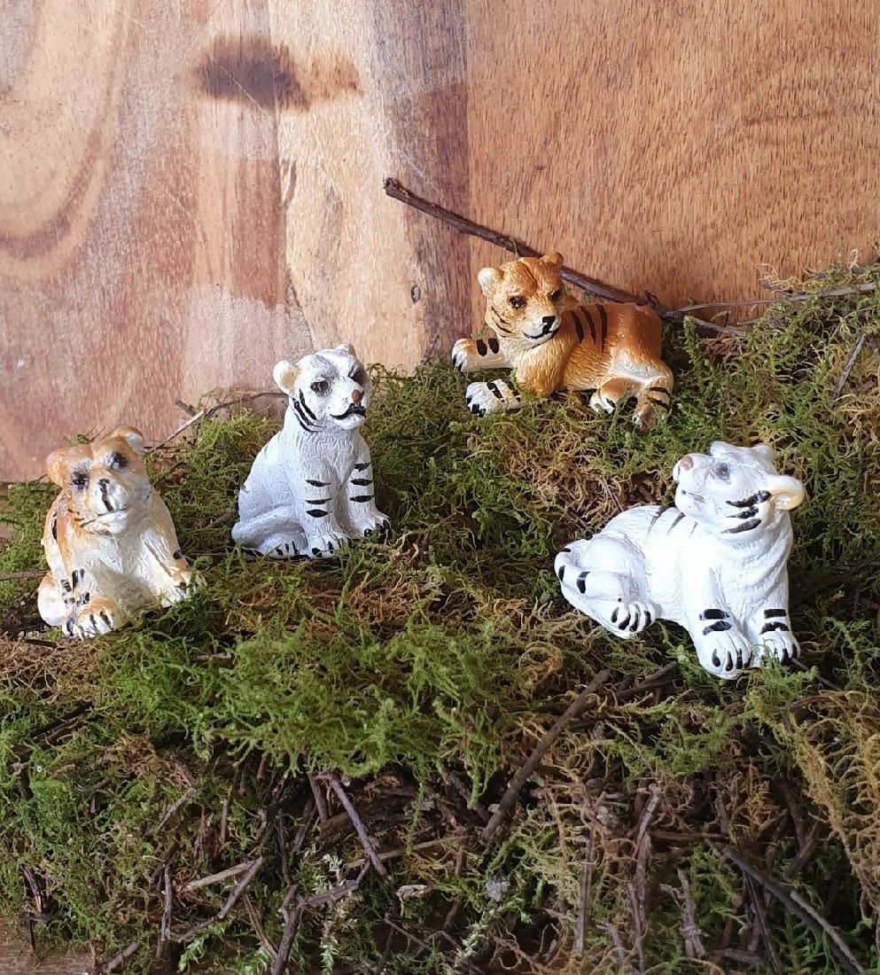 MINI TIGER | Garden Feast