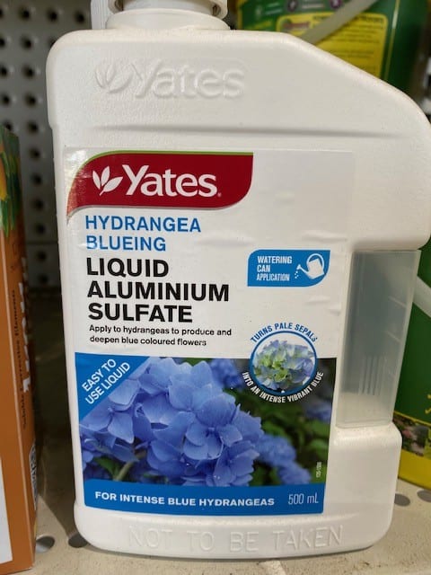 Aluminum Sulfate Hydrangeas