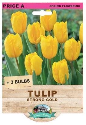 TULIP STRONG GOLD 3 BULBS | Garden Feast