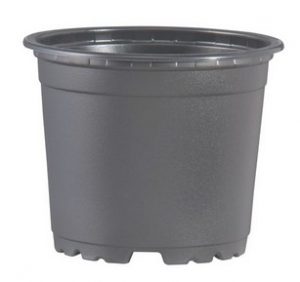 POT BLACK PLASTIC 100MM | The Garden Feast