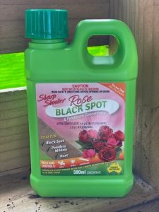 Rose Black Spot & Pyrethrum Concentrate 500ml | The Garden Feast