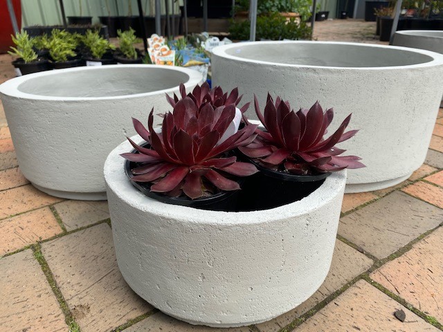 LOW CYLINDER 40X19CM MEDIUM ROCO GREY | The Garden Feast
