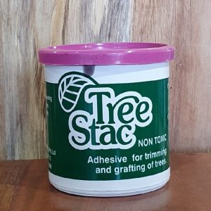 Propagation | Garden Feast