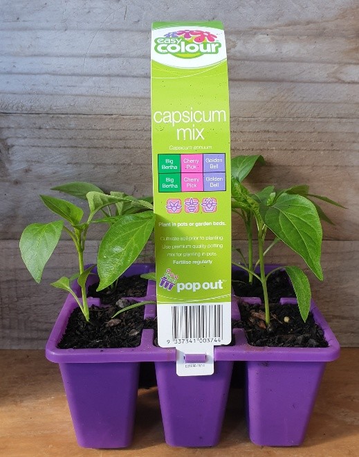 EASY SIX CAPSICUM MIX | The Garden Feast