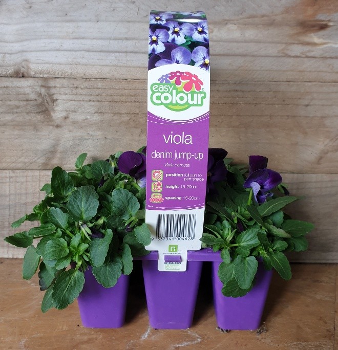 EASY COLOUR VIOLA DENIM JUMP UP | Garden Feast