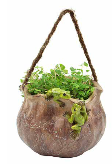 FROG HANGING POT ROUND | The Garden Feast