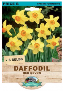 DAFFODIL RED DEVON 6 BULBS | The Garden Feast
