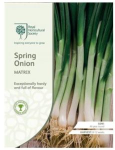 SEEDS SPRING ONION MATRIX RHS | The Garden Feast