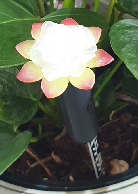 Mayhem UK Wicked Waterer LED Plant Moisture Sensor | The Garden Feast