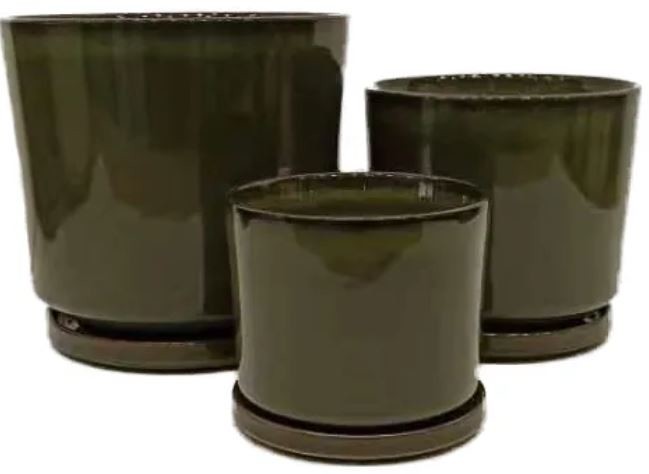 POT DERWENT CYLINDER RAINFOREST LGE | The Garden Feast