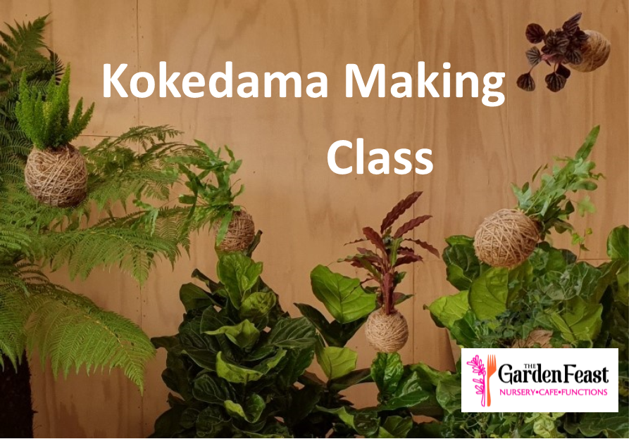 Christmas Kokedama Making Workshop | The Garden Feast