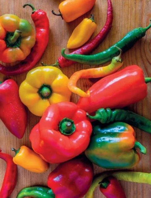 CAPSICUM HEIRLOOM MIX | The Garden Feast