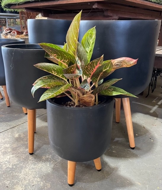 POT ASHER TRIPOD JAVA MED | The Garden Feast