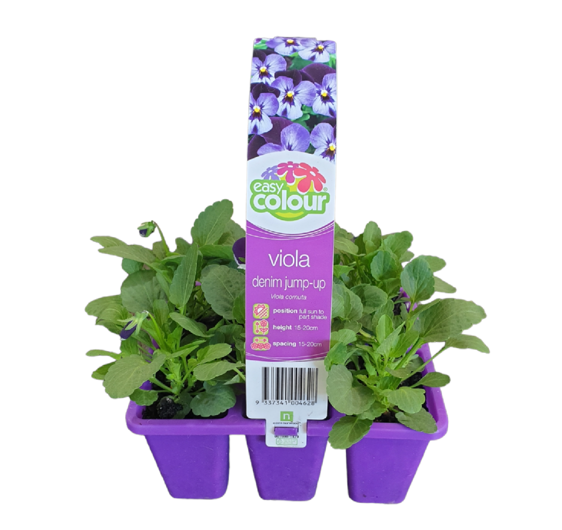 EASY COLOUR VIOLA DENIM JUMP UP | Garden Feast